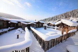 Photo, Image & Picture of China Snow Town View