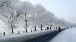 Photo, Image & Picture of Songhuajiang River Winter