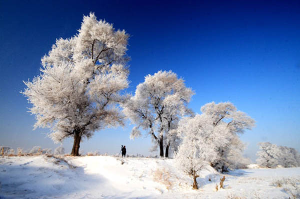 Photo, Image & Picture of Jilin Rime Ice And Snow Festival