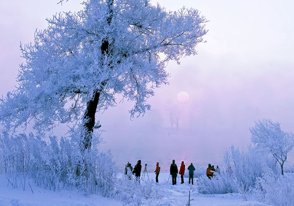Photo, Image & Picture of Enjoy The Sight Of Jilin Rime