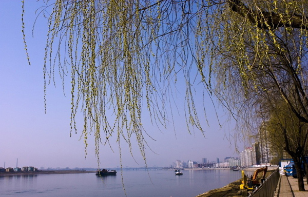 Photo, Image & Picture of The Yalu River China