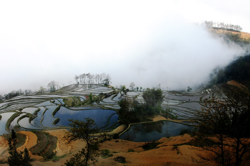 Yuanyang Rice Terraces