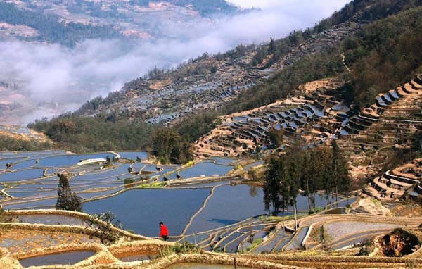 Yuanyang Hani Rice Terraces, Yunnan China